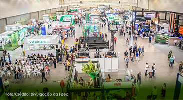 Ipece participa da PEC Nordeste 2024 - Instituto de Pesquisa e ...